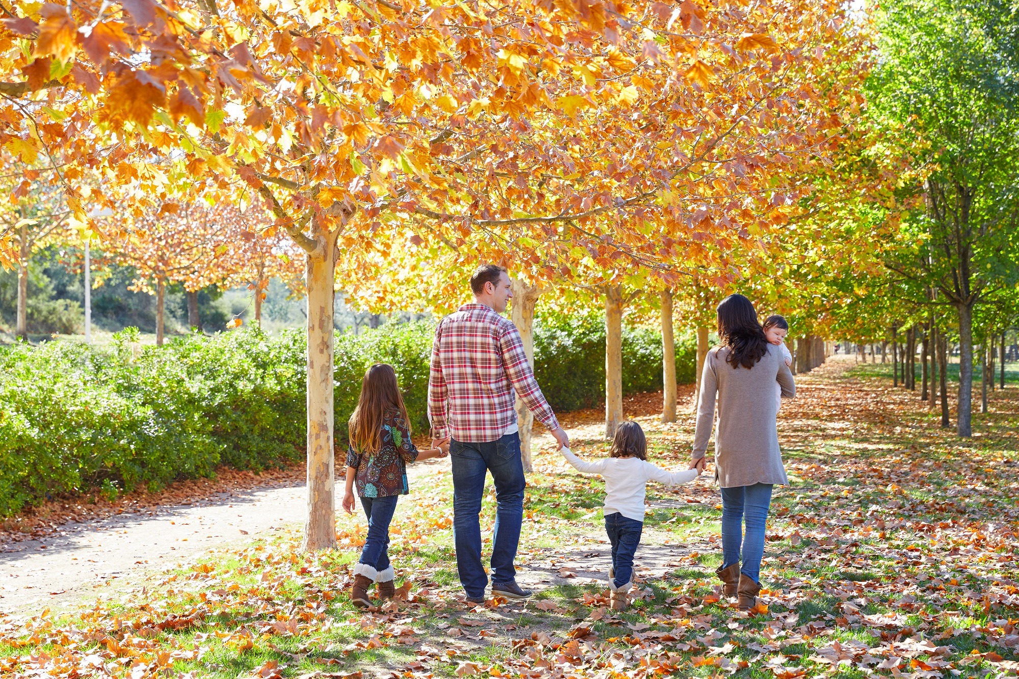 The Best Fall Activities the-best-fall-activities