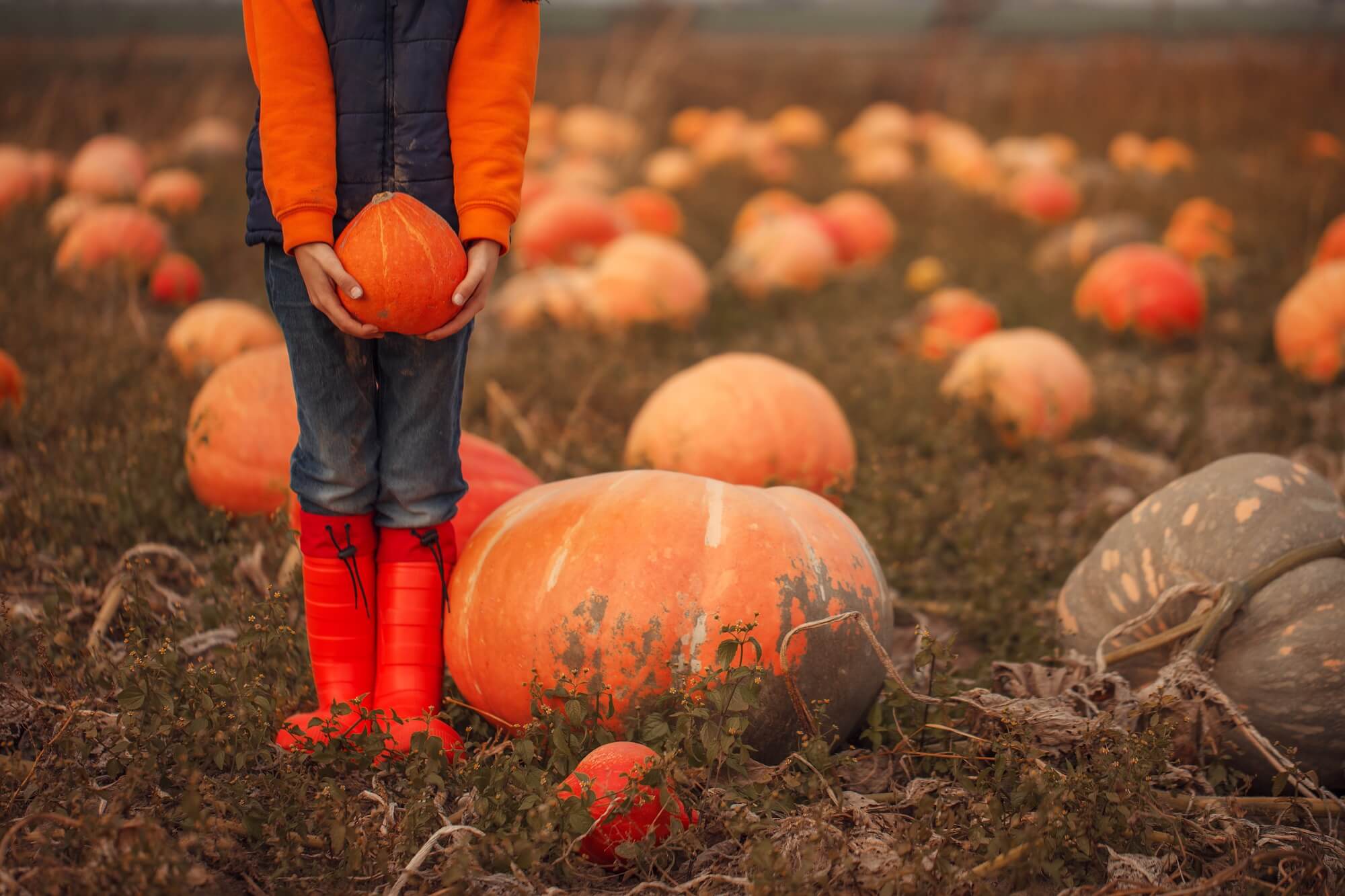 The Best Fall Activities