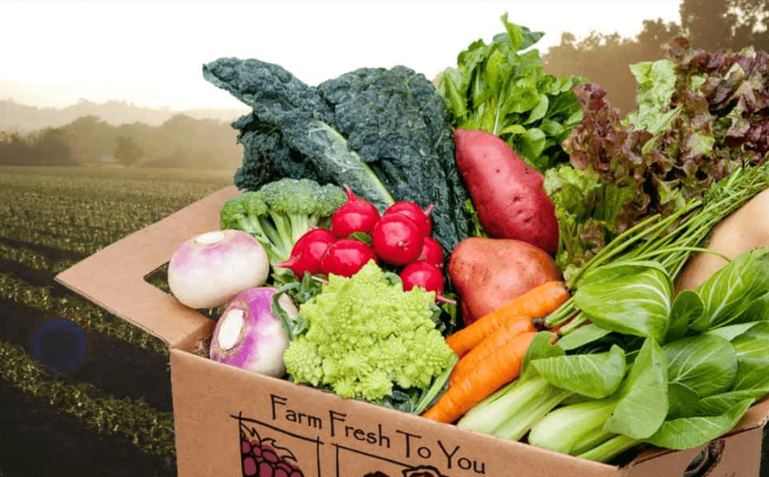 Food Groups Chart and Categories - What You Need to Know to Eat Healthy