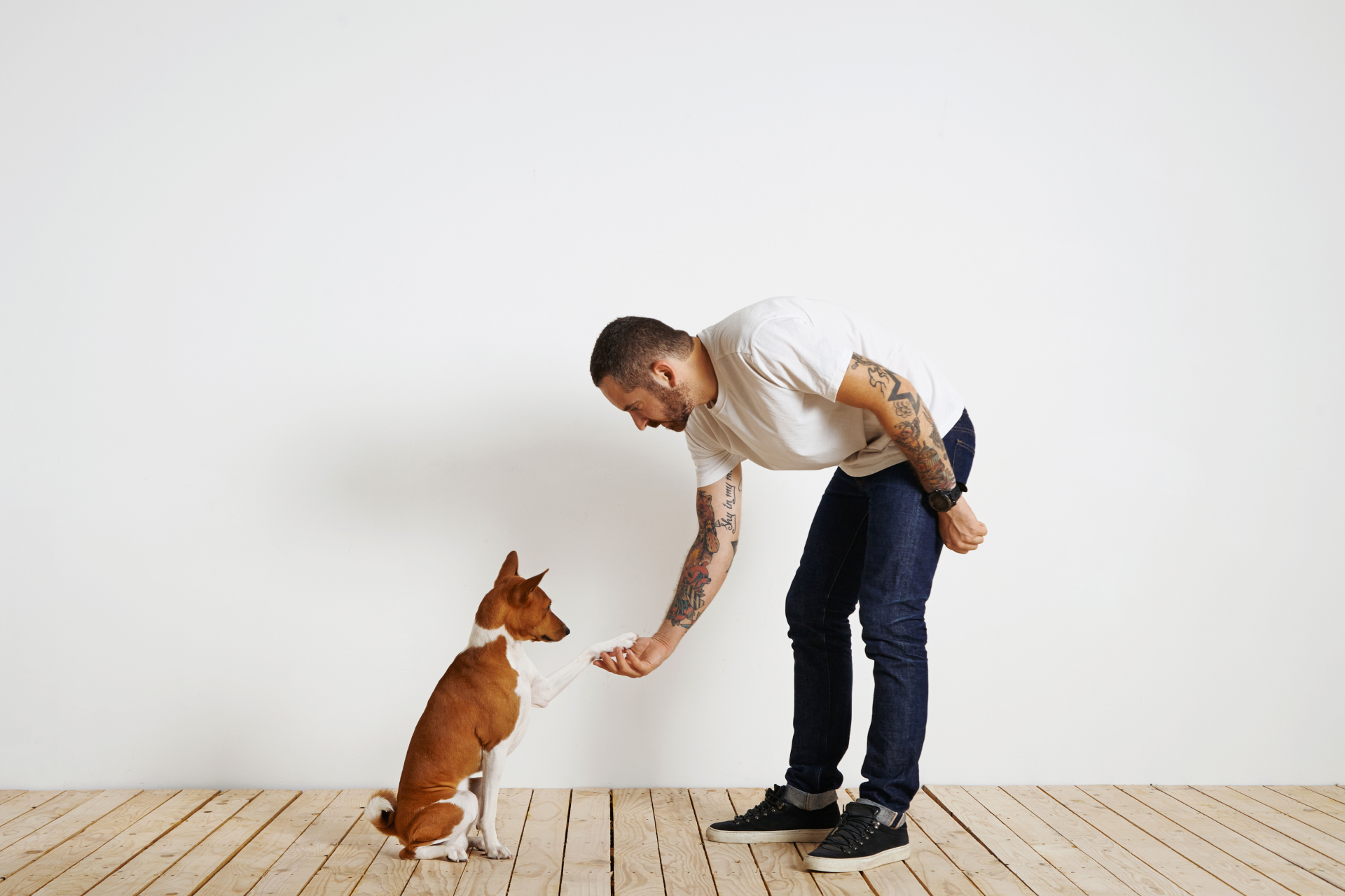 Are Your Pets Out of Control? Learn How to Train a Puppy - Men With Kids