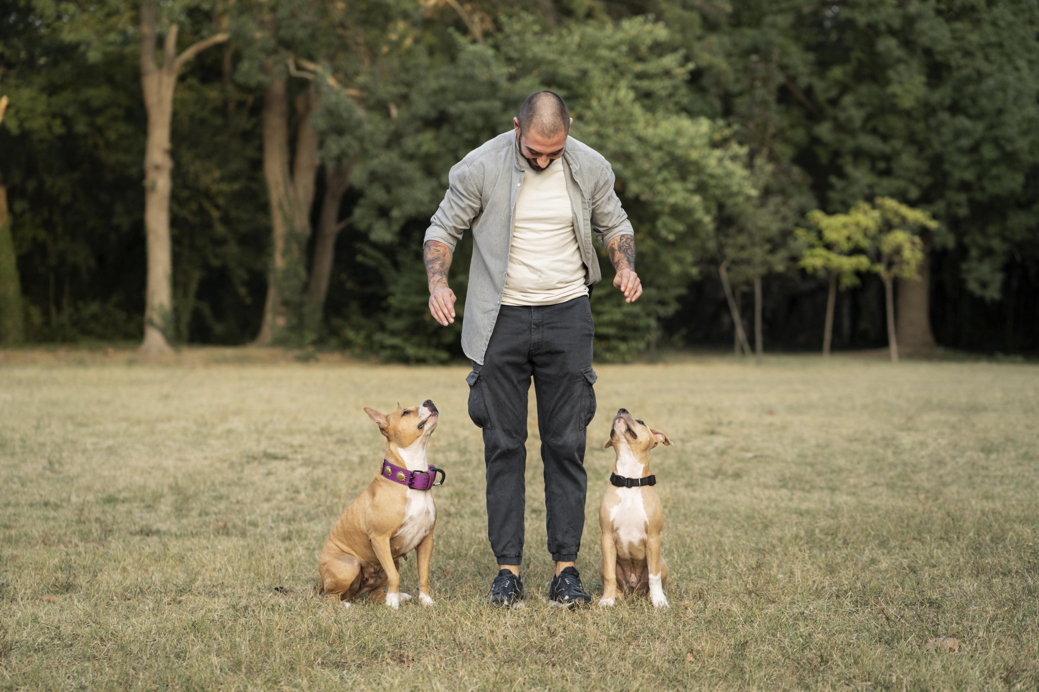 What Are The Best Animal Jobs Near Me Men With Kids What Are The Best Animal Jobs Near Me Men With Kids