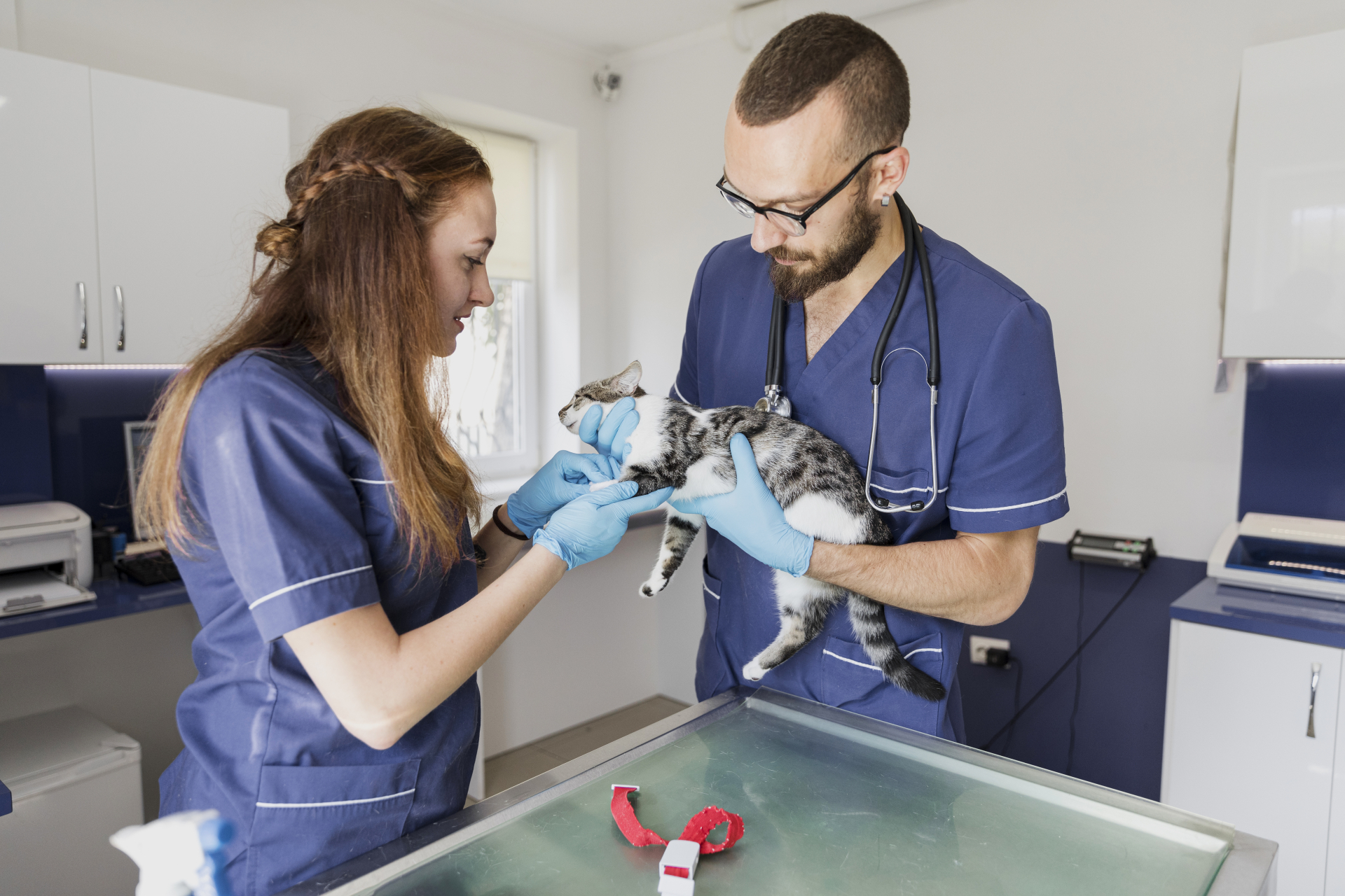 What Are The Best Animal Jobs Near Me Men With Kids What Are The Best Animal Jobs Near Me Men With Kids